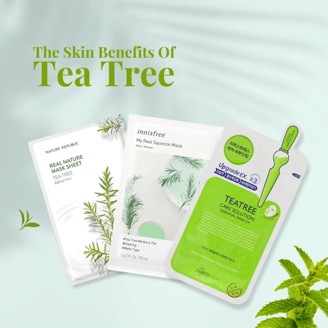 The Incredible Skin Benefits of Tea Tree – Lavoca